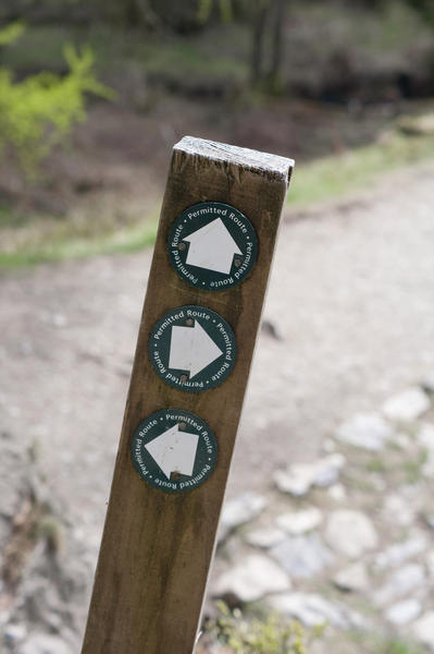 Multi directional sign-4097 | Stockarch Free Stock Photos