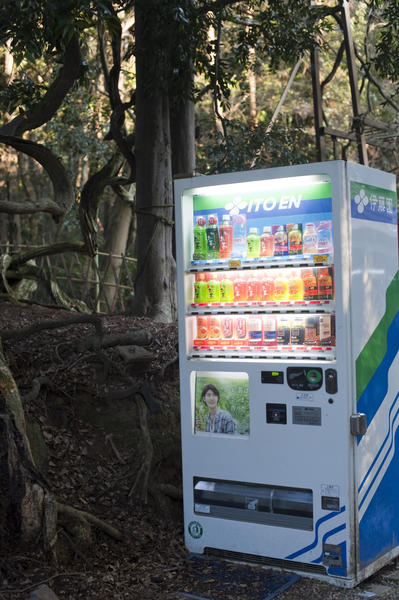 Vending machine in the woods-5526 | Stockarch Free Stock Photo Archive