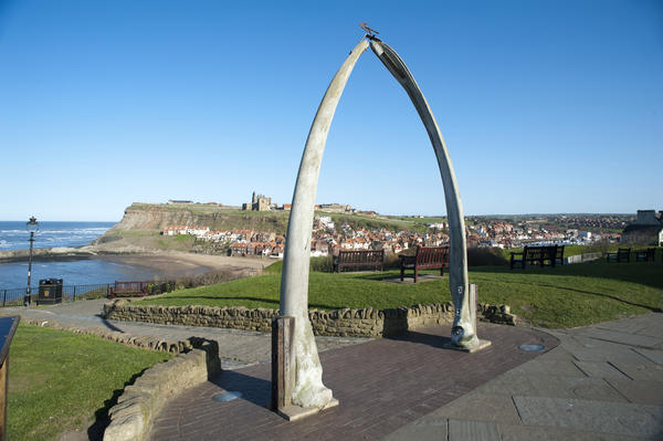 Whale bone monument in Whitby-7731 | Stockarch Free Stock Photo Archive