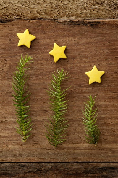 Subtle Christmas decoration-9183 | Stockarch Free Stock Photo Archive