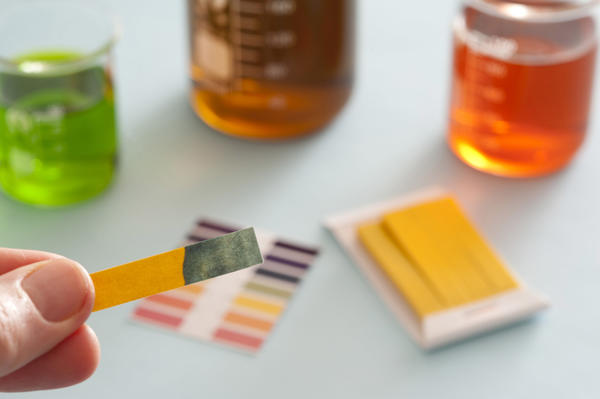 Alkaline test strip showing reaction-9973 | Stockarch Free Stock Photo ...